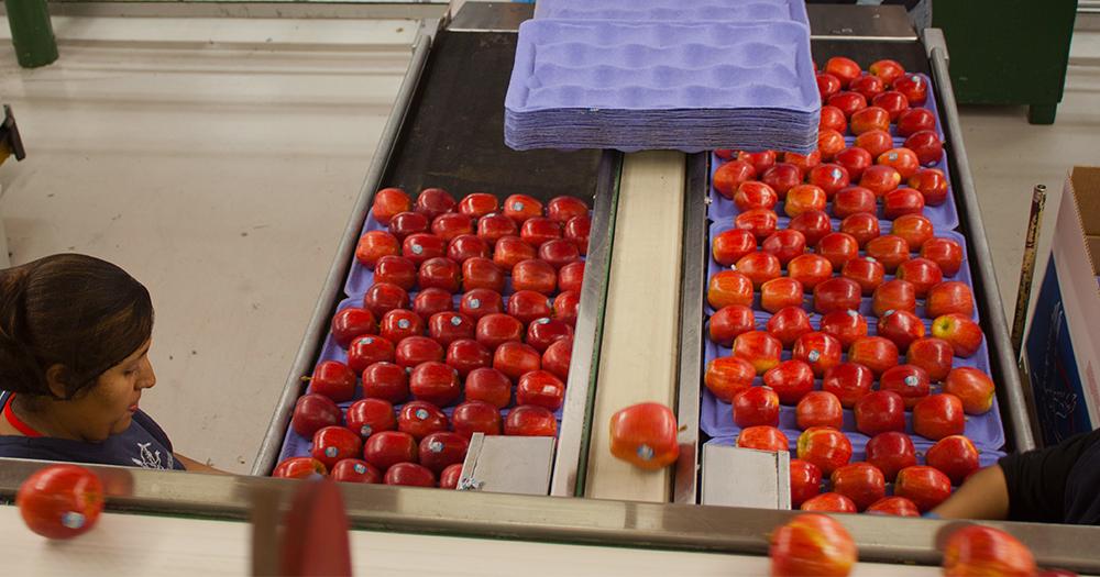 packing - San Clemente